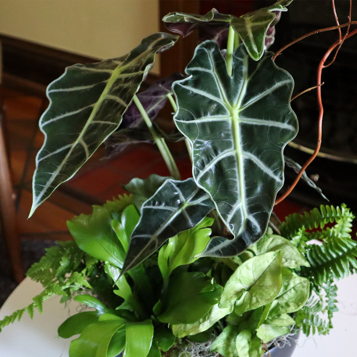 Classes — The Perfect Petal