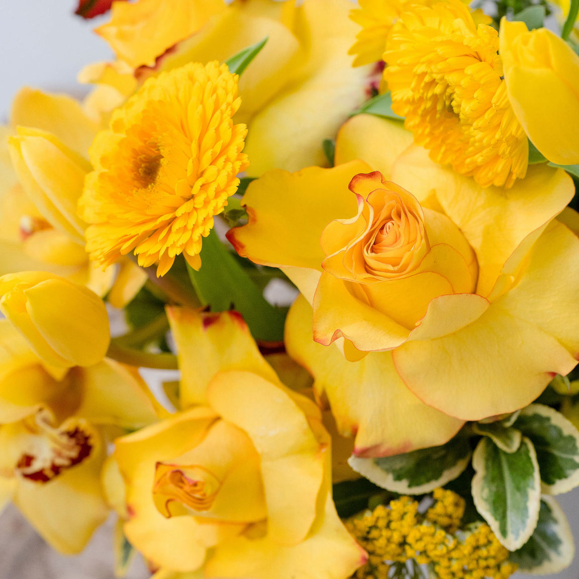 Classes — The Perfect Petal